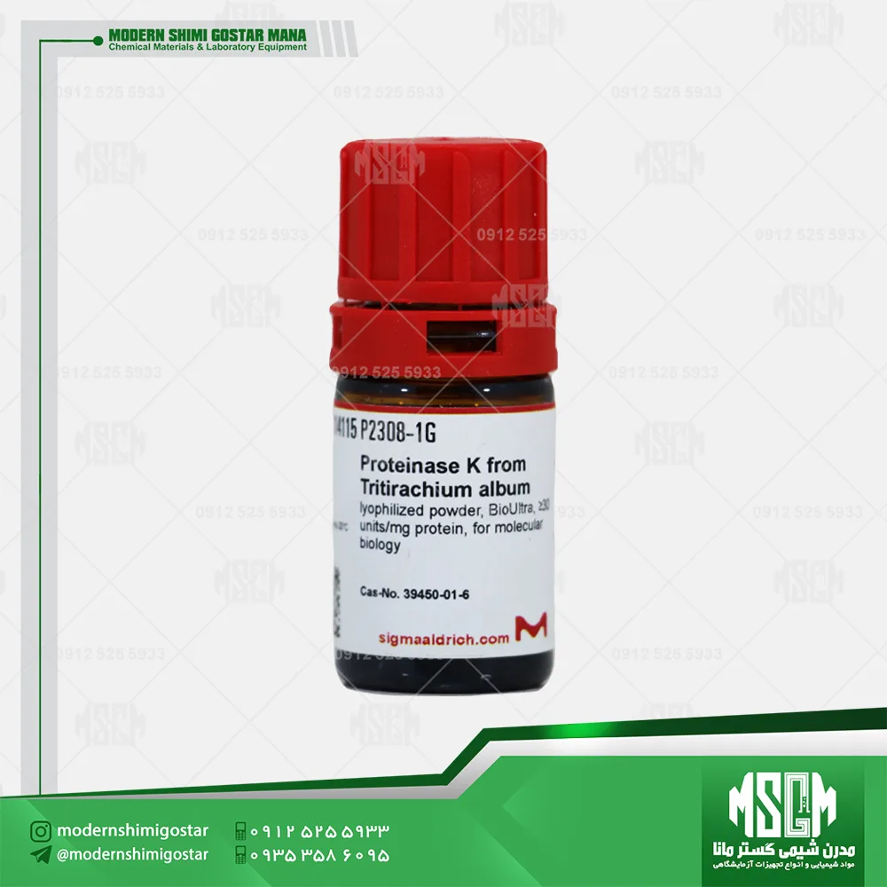 پروتئیناز K (کد P2308) Proteinase K from Tritirachium album - مانا شیمی